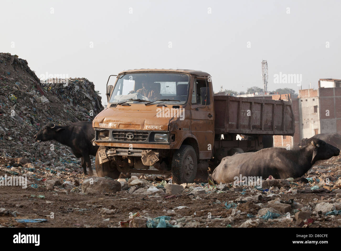 Old truck india hi-res stock photography and images - Alamy