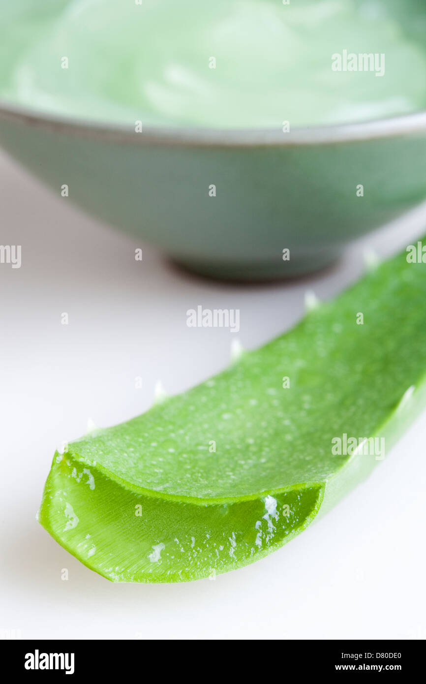 Fresh aloe leaf and aloe vera gel Stock Photo - Alamy