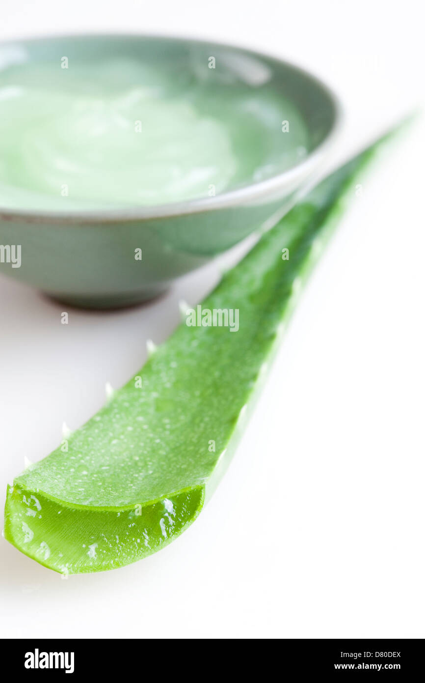 Selective focus shot aloe hi-res stock photography and images - Alamy