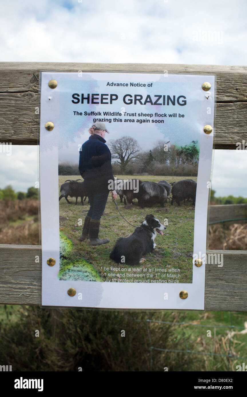 Sheep grazing keep your dog on a lead warning sign Stock Photo - Alamy