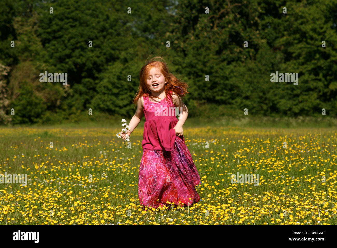 Little girl holding daisies running on common Stock Photo - Alamy