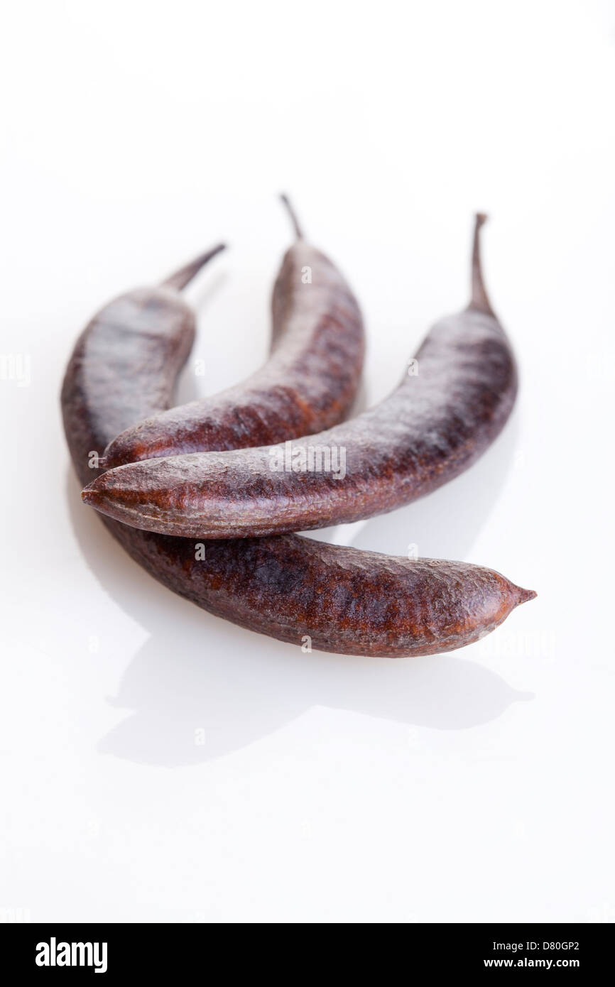 Honey locust hi-res stock photography and images - Alamy