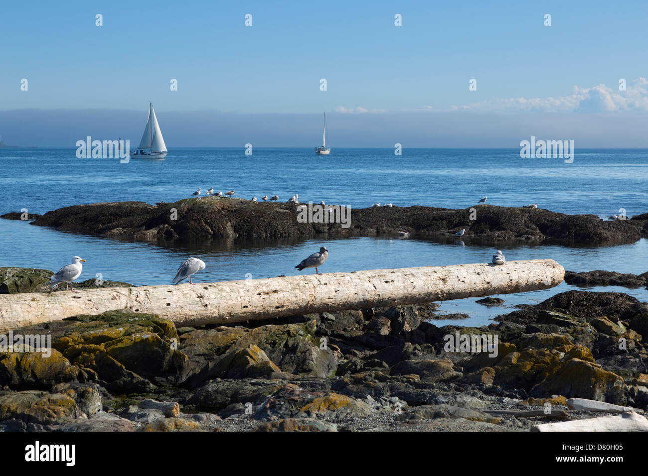 Fog bank in the Strait of Juan de Fuca off Cattle Point, Victoria ...