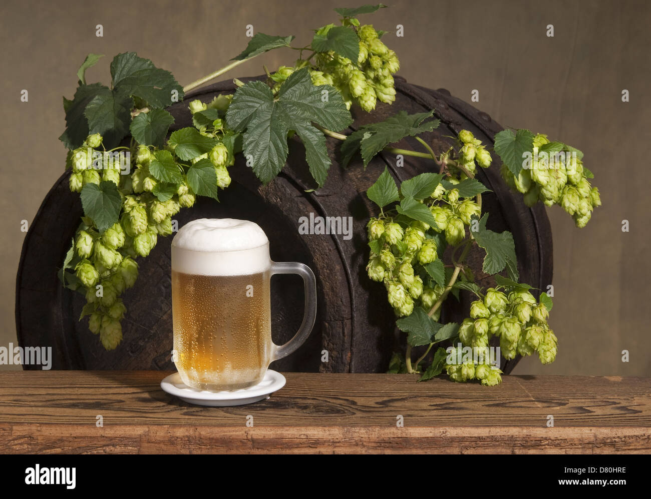 Suds alcohol beer glass ale hop hops beverage hi-res stock photography ...