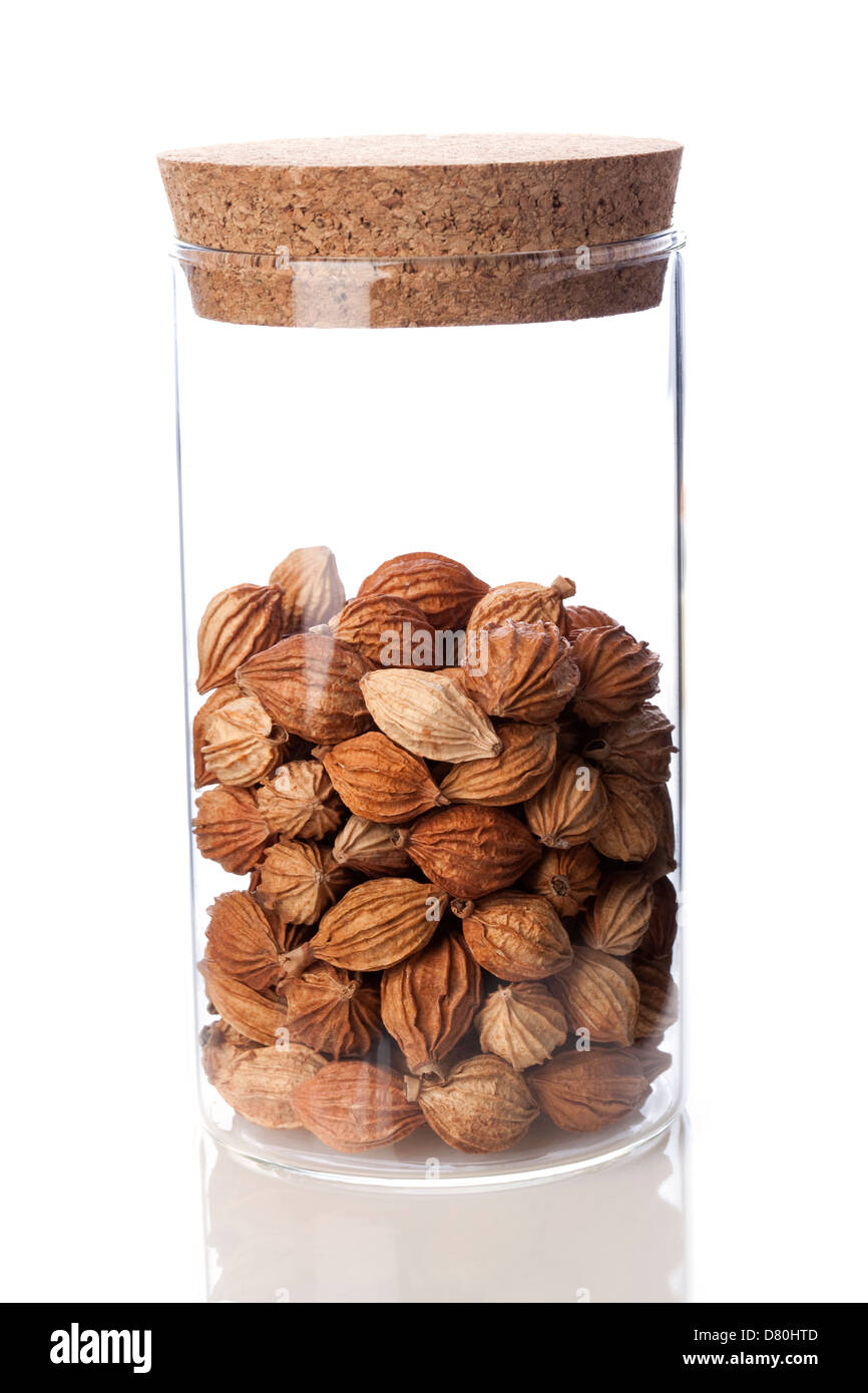 Chinese medicinal herb amomum villosum in glass bottle Stock Photo - Alamy