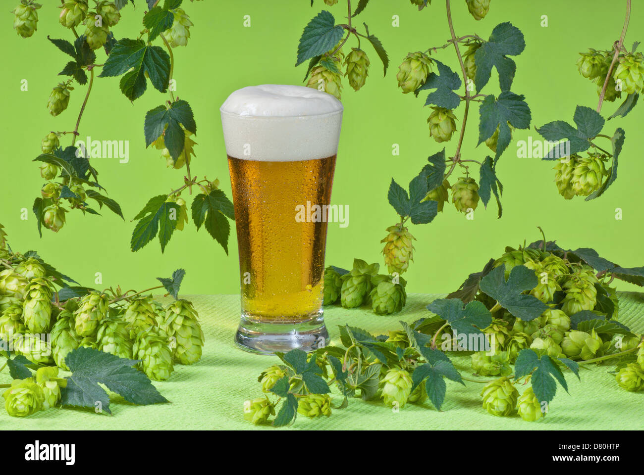 Beer bitter beer production lager suds foam draft jug hi-res stock ...