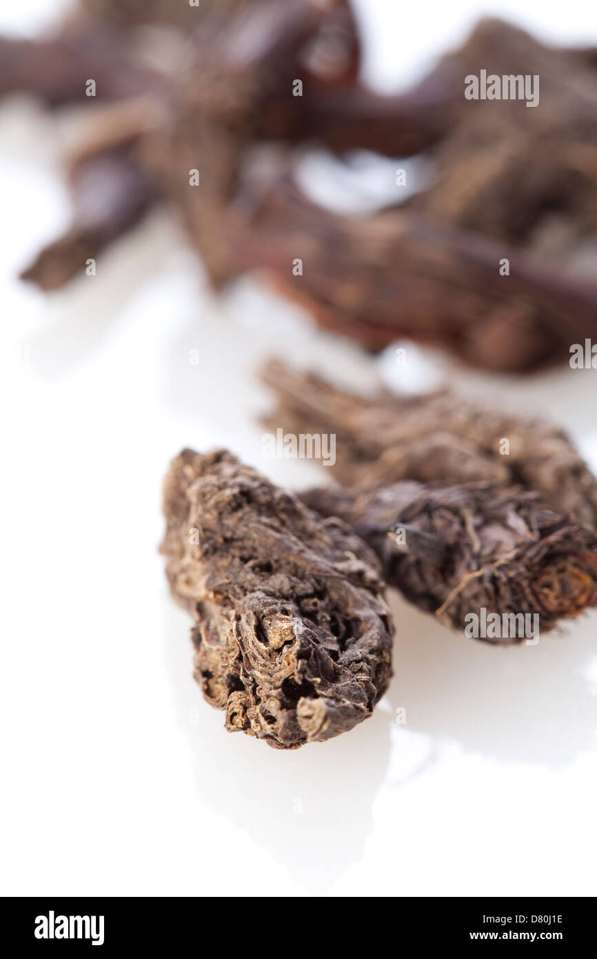 Chinese medicinal herb nard Stock Photo - Alamy