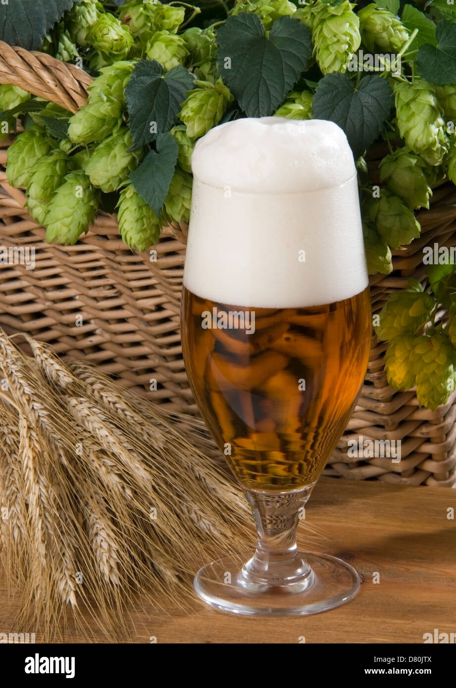 Suds alcohol beer glass ale hop hops beverage hi-res stock photography ...