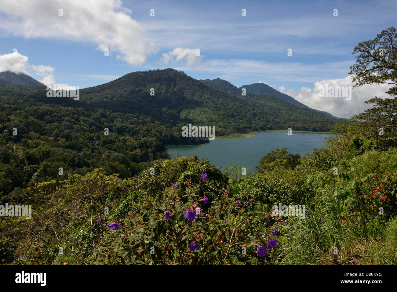 Indonesia, Bali, Lake Tamblingan in the North region Stock Photo - Alamy