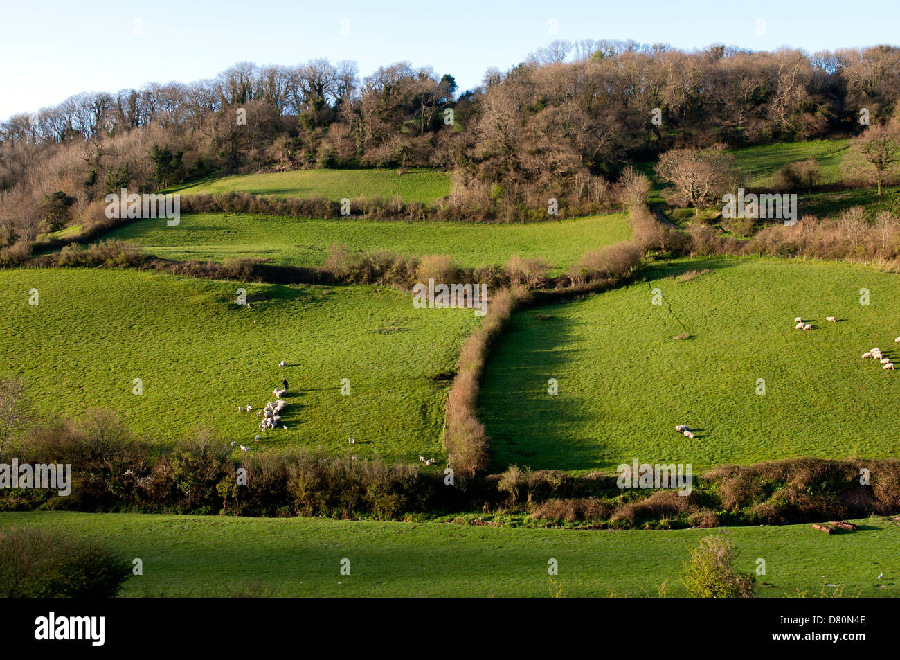 Devon landscape hi-res stock photography and images - Alamy
