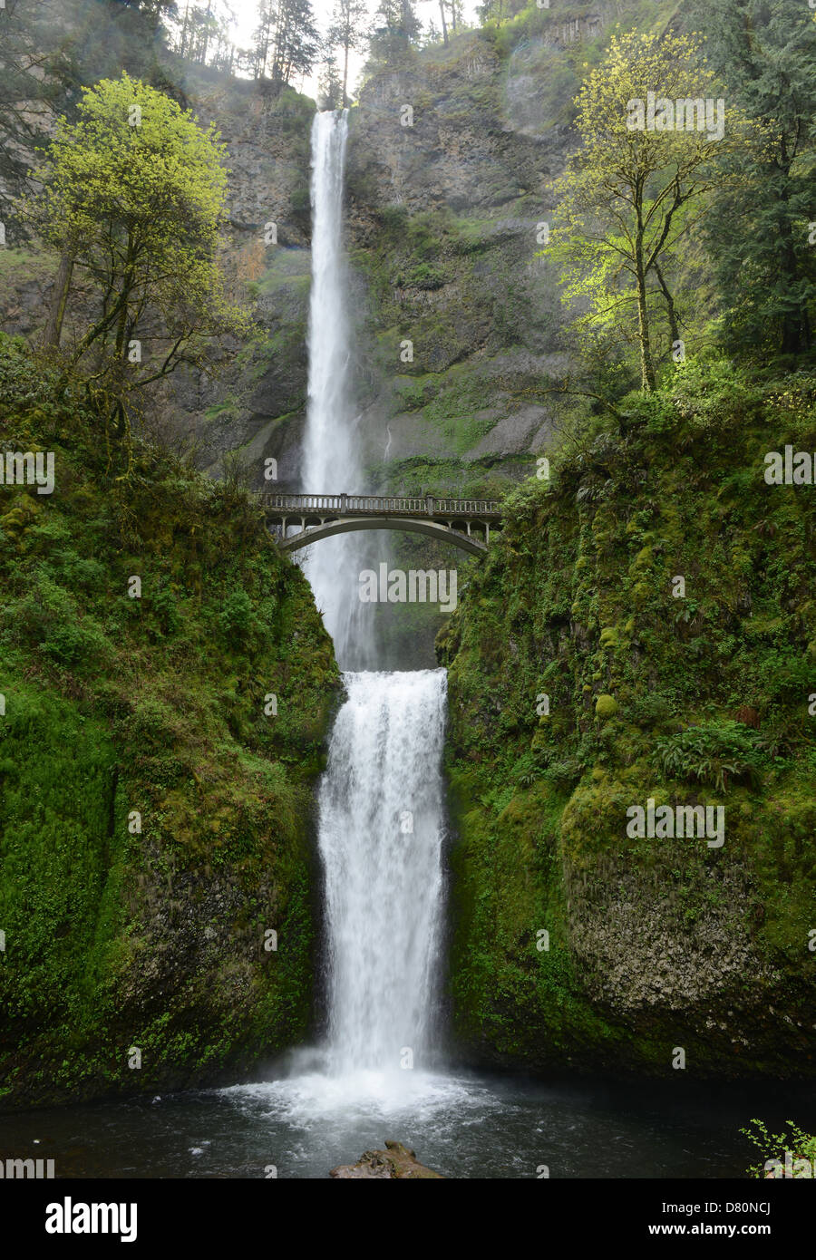 Multnomah falls, portland oregon hi-res stock photography and images ...