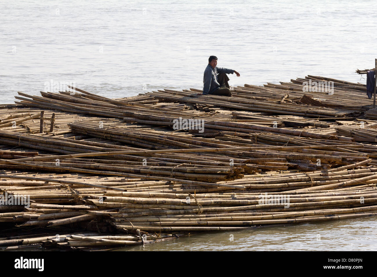 Man afloat on a giant raft of bamboo on the Irrawaddy River, Myanmar ...