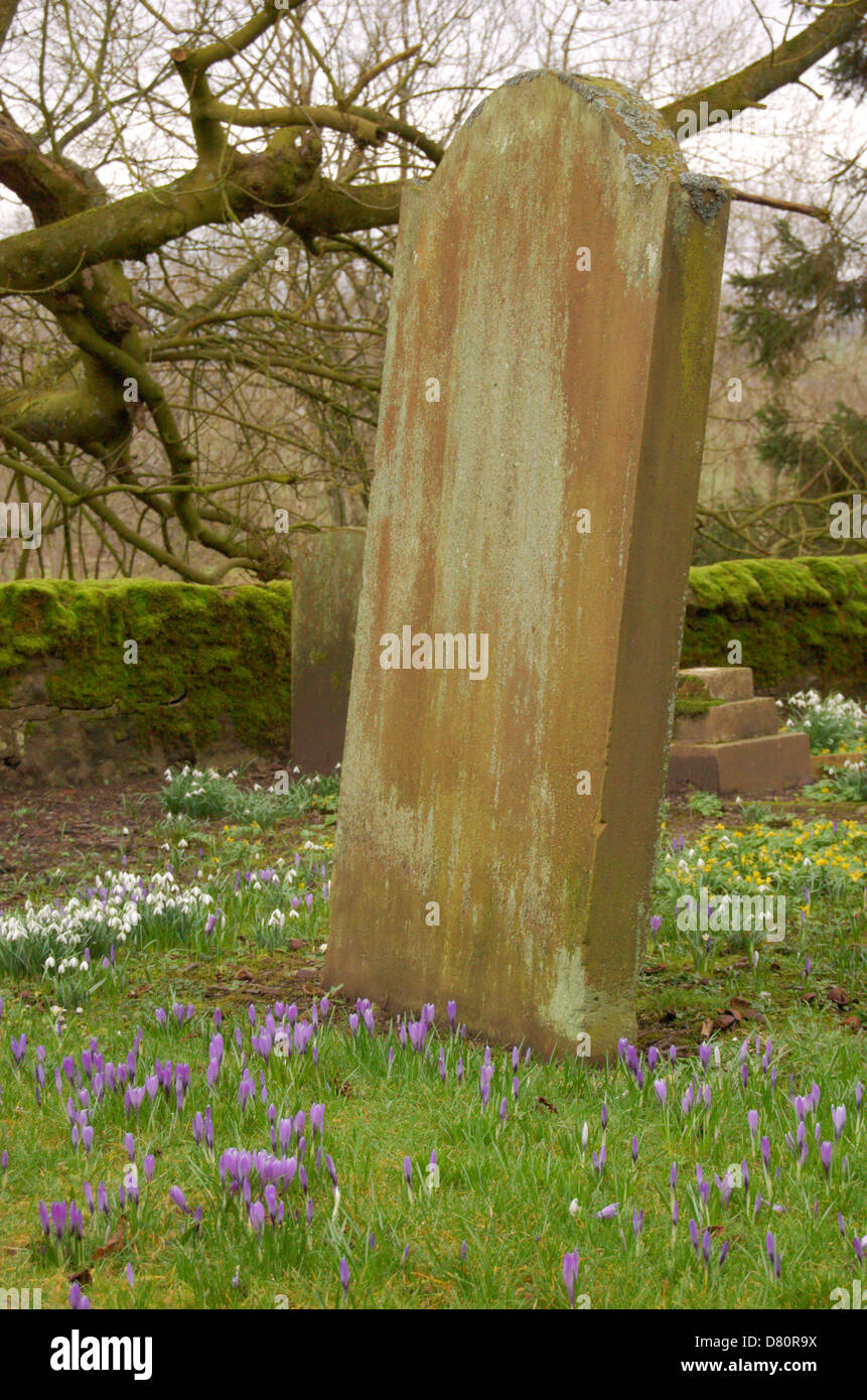 Tree trunk grave headstone hi-res stock photography and images - Alamy