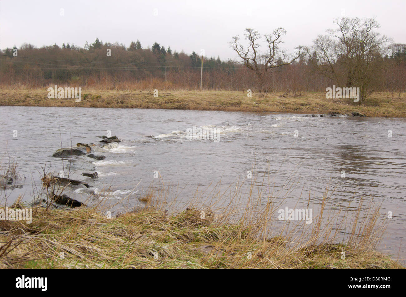 The River Nith at Drumlanrig in South West Scotland Stock Photo - Alamy