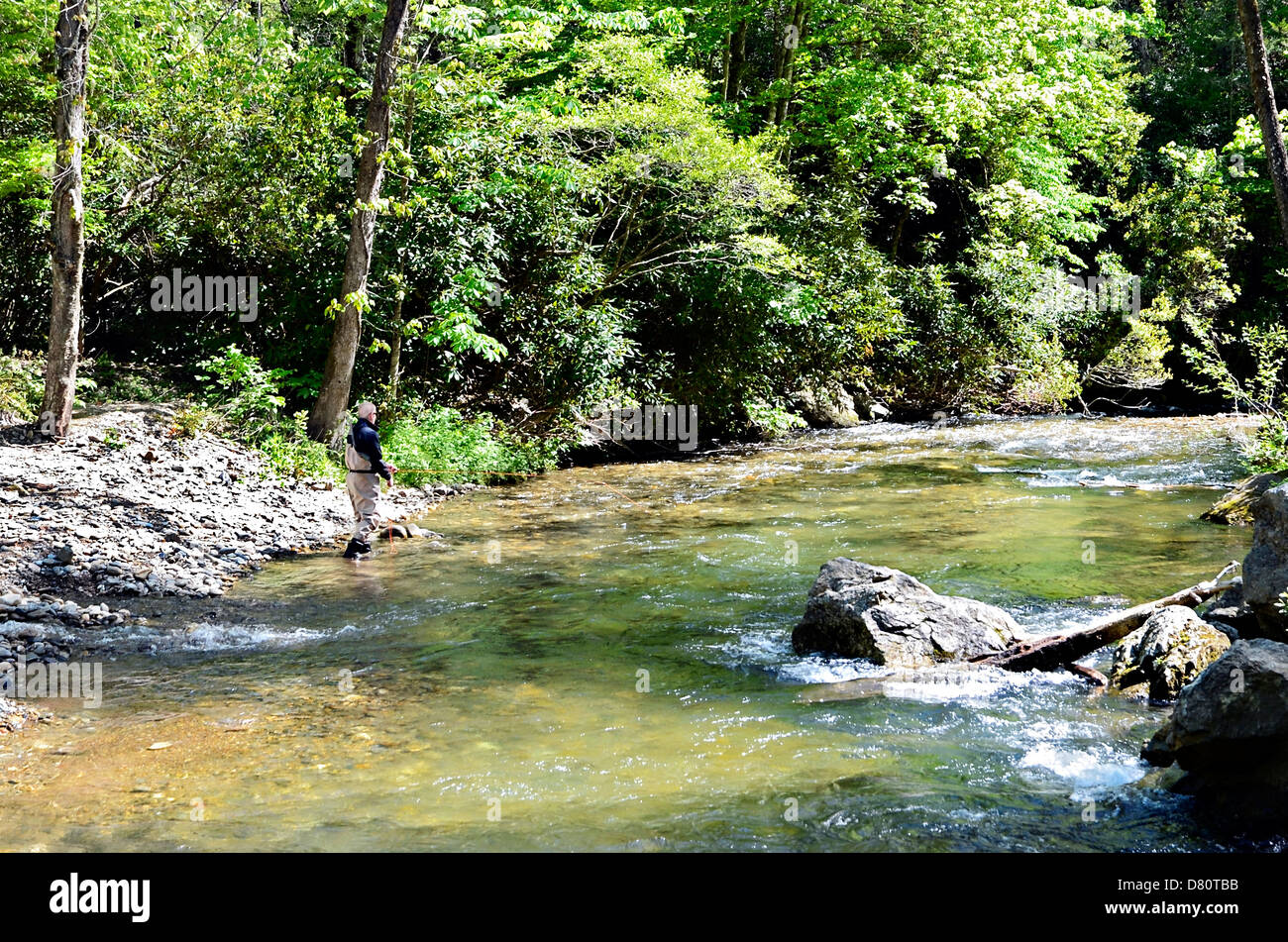 Fly river hi-res stock photography and images - Alamy