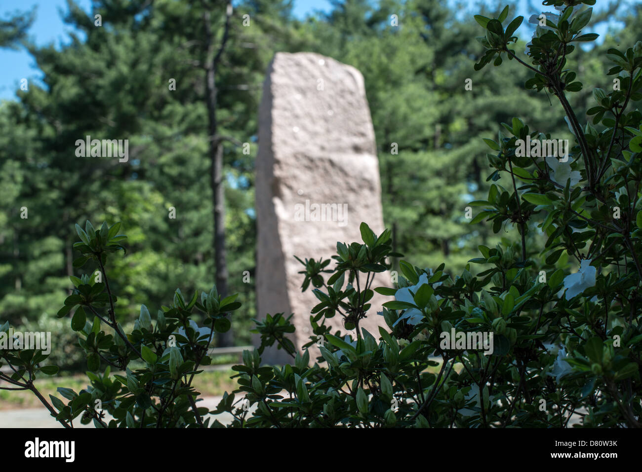 WASHINGTON DC, United States — The pink granite monolith pokes through ...