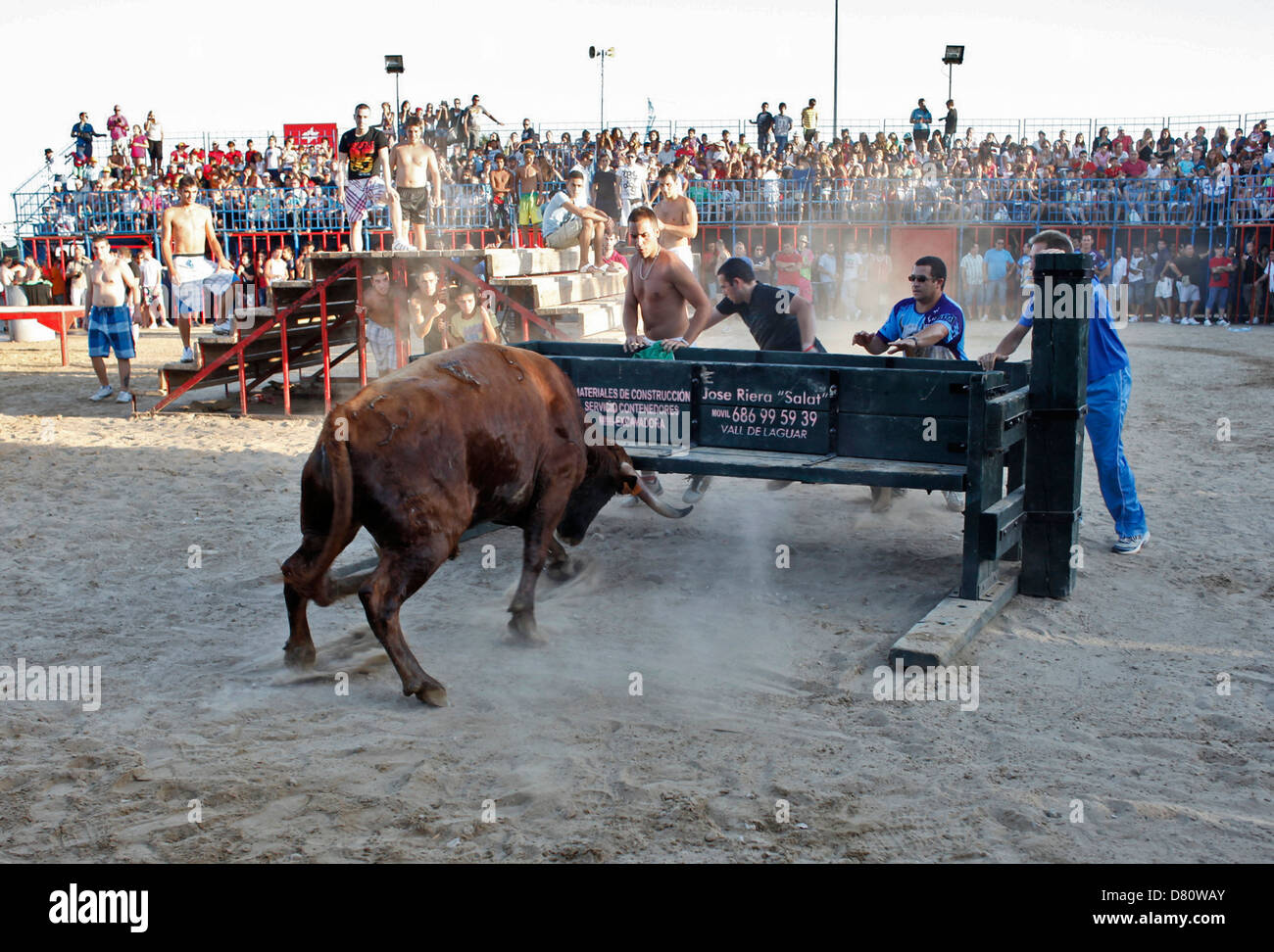 Bull run hi-res stock photography and images - Alamy