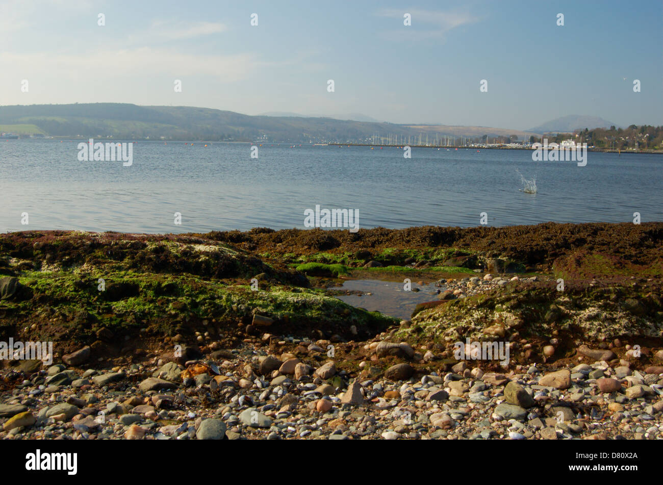 Gareloch yacht hi-res stock photography and images - Alamy