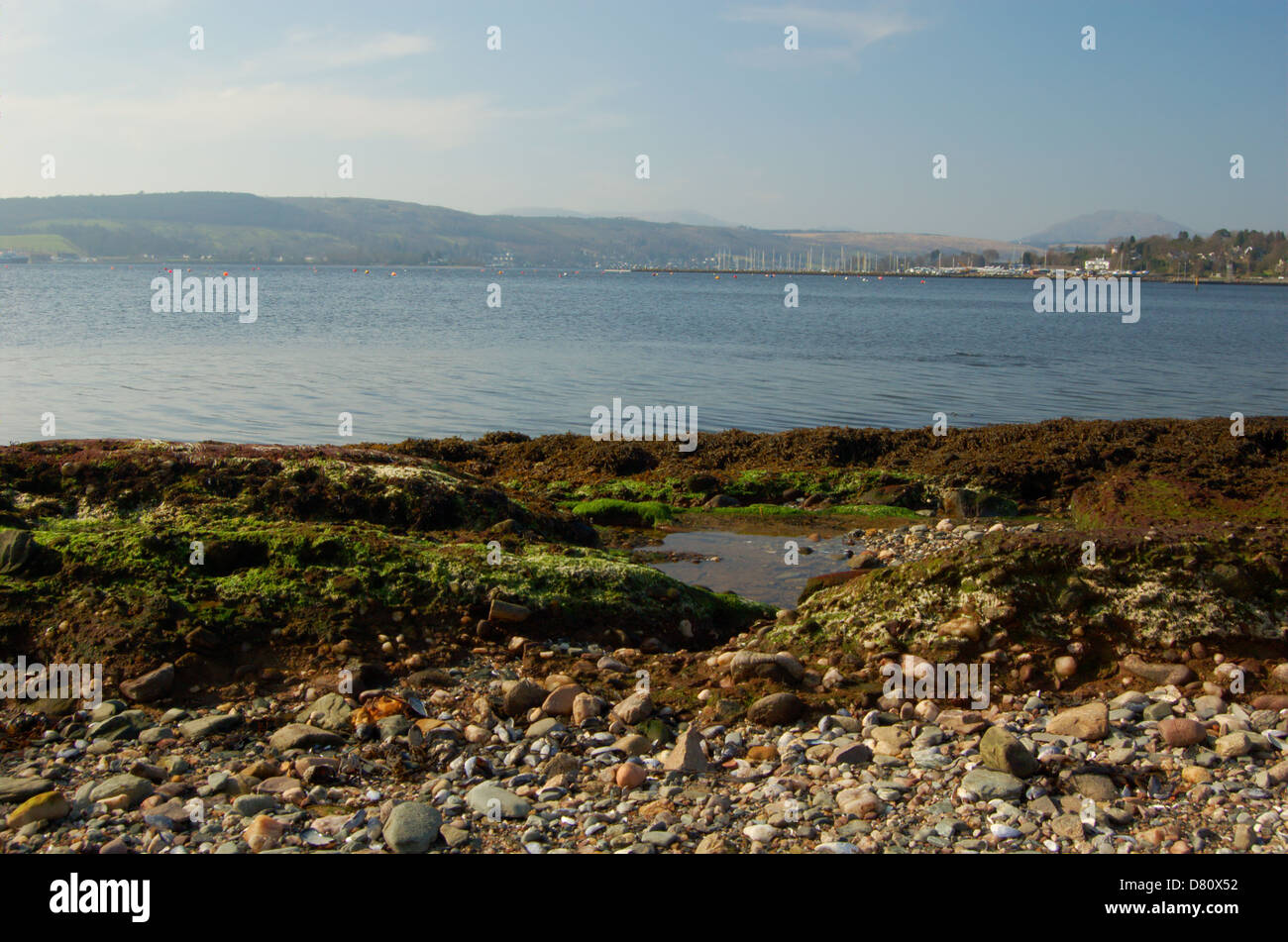 Beach on gareloch helensburgh scotland hi-res stock photography and ...