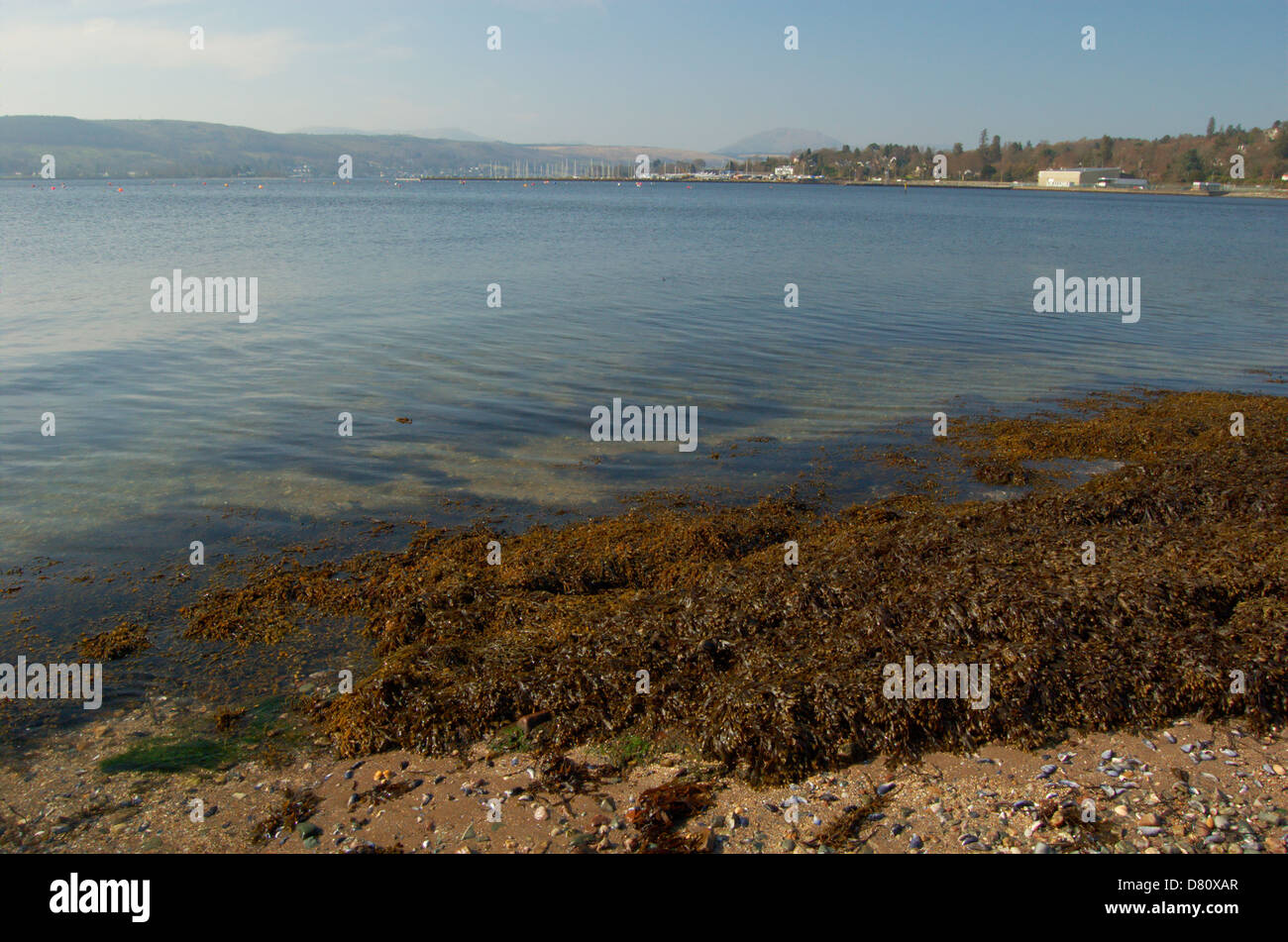 Beach on the Gareloch at Helensburgh, Scotland Stock Photo - Alamy