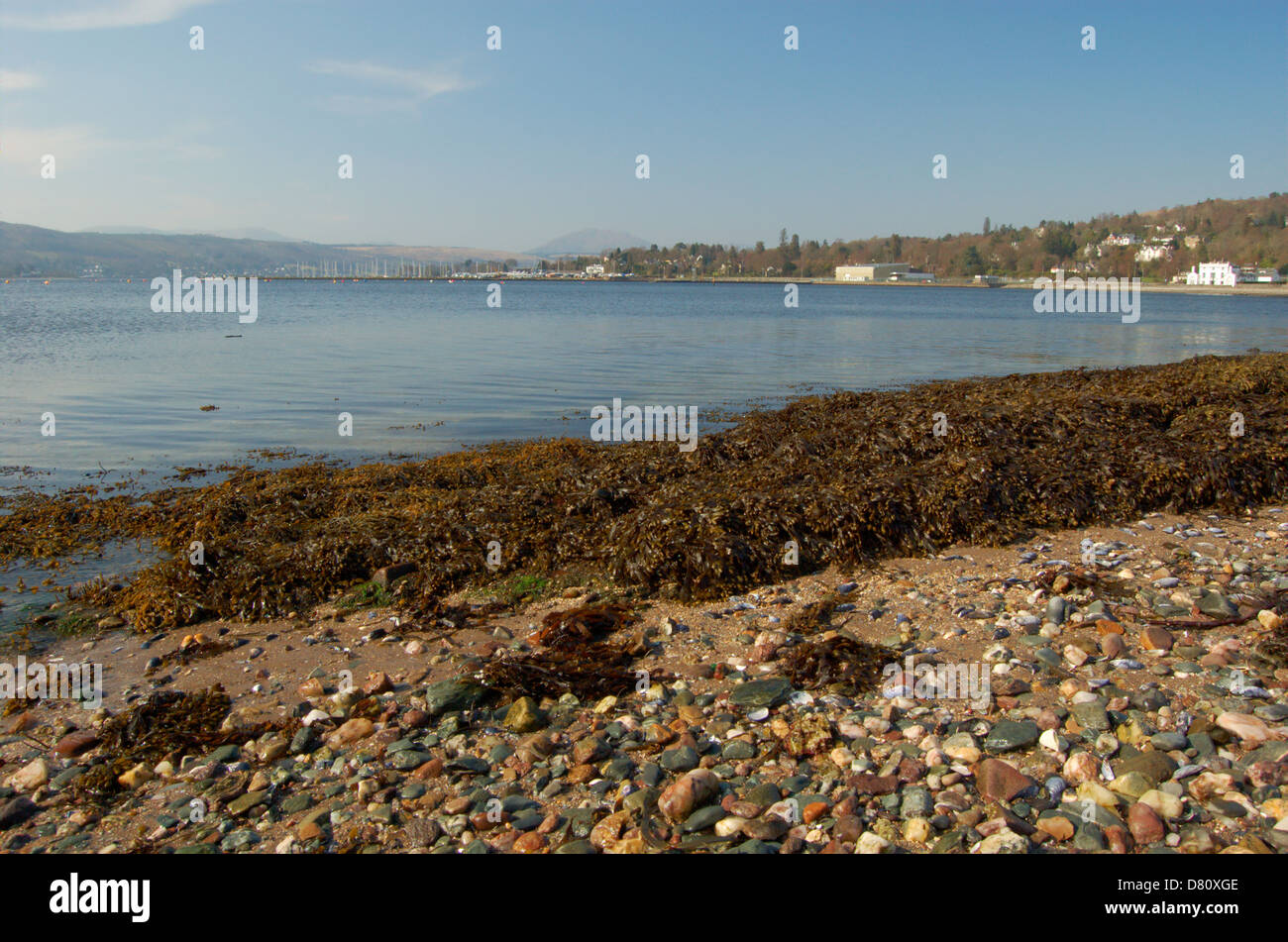 Beach on gareloch helensburgh scotland hi-res stock photography and ...
