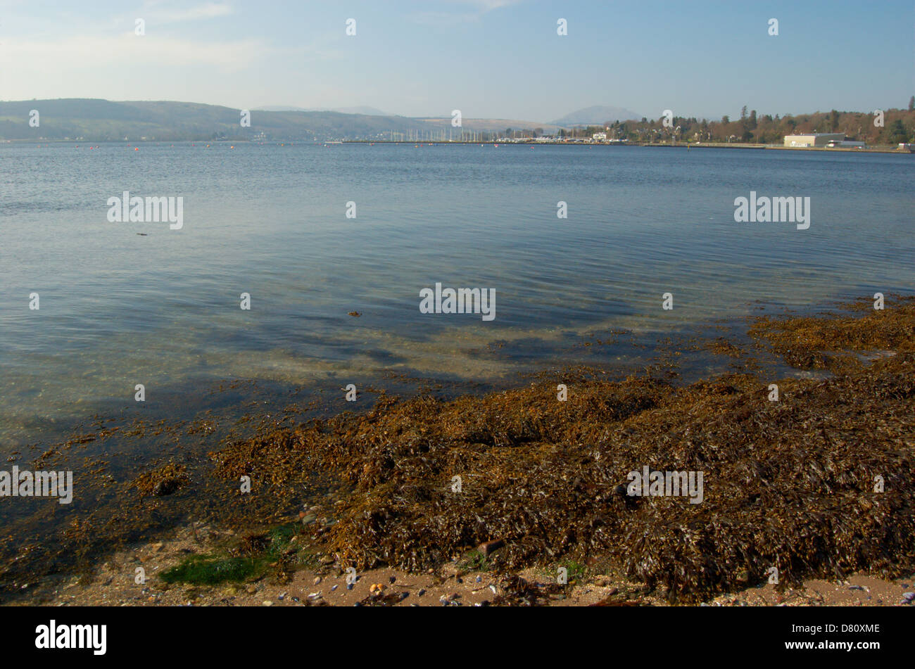 Waterfront rhu on gareloch scotland hi-res stock photography and images ...