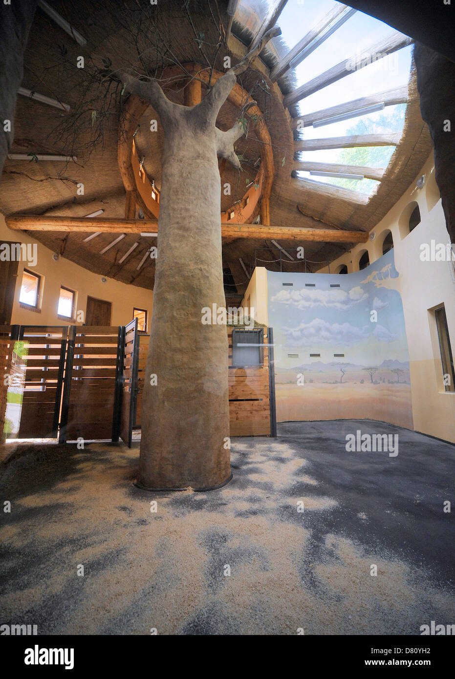 Giraffe and house hi-res stock photography and images - Alamy