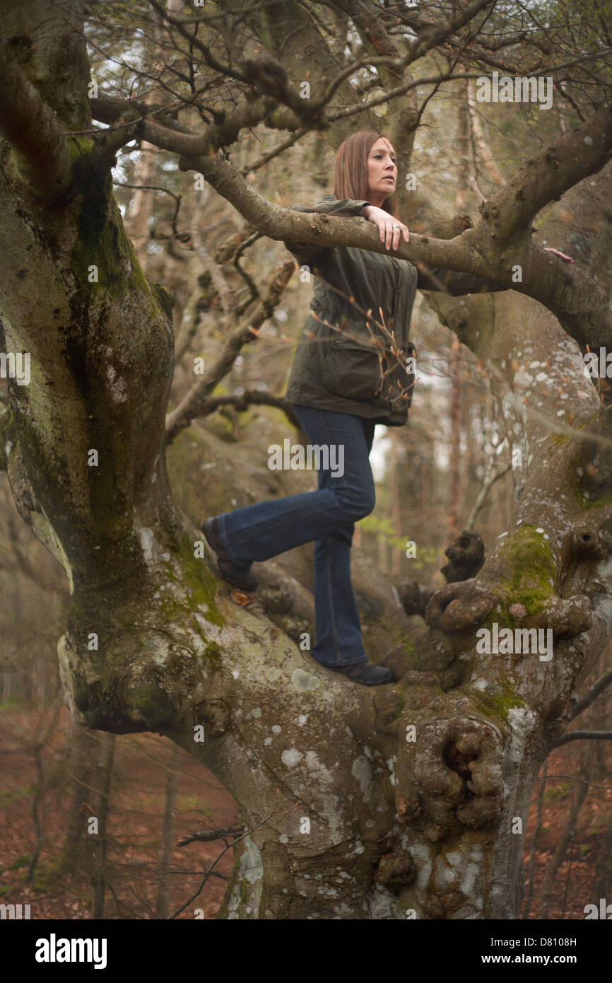 Woman standing in an old tree looking out over the forest in nature ...