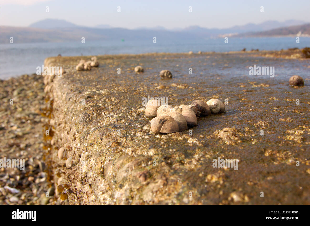 Beach On Gareloch Helensburgh Scotland High Resolution Stock ...