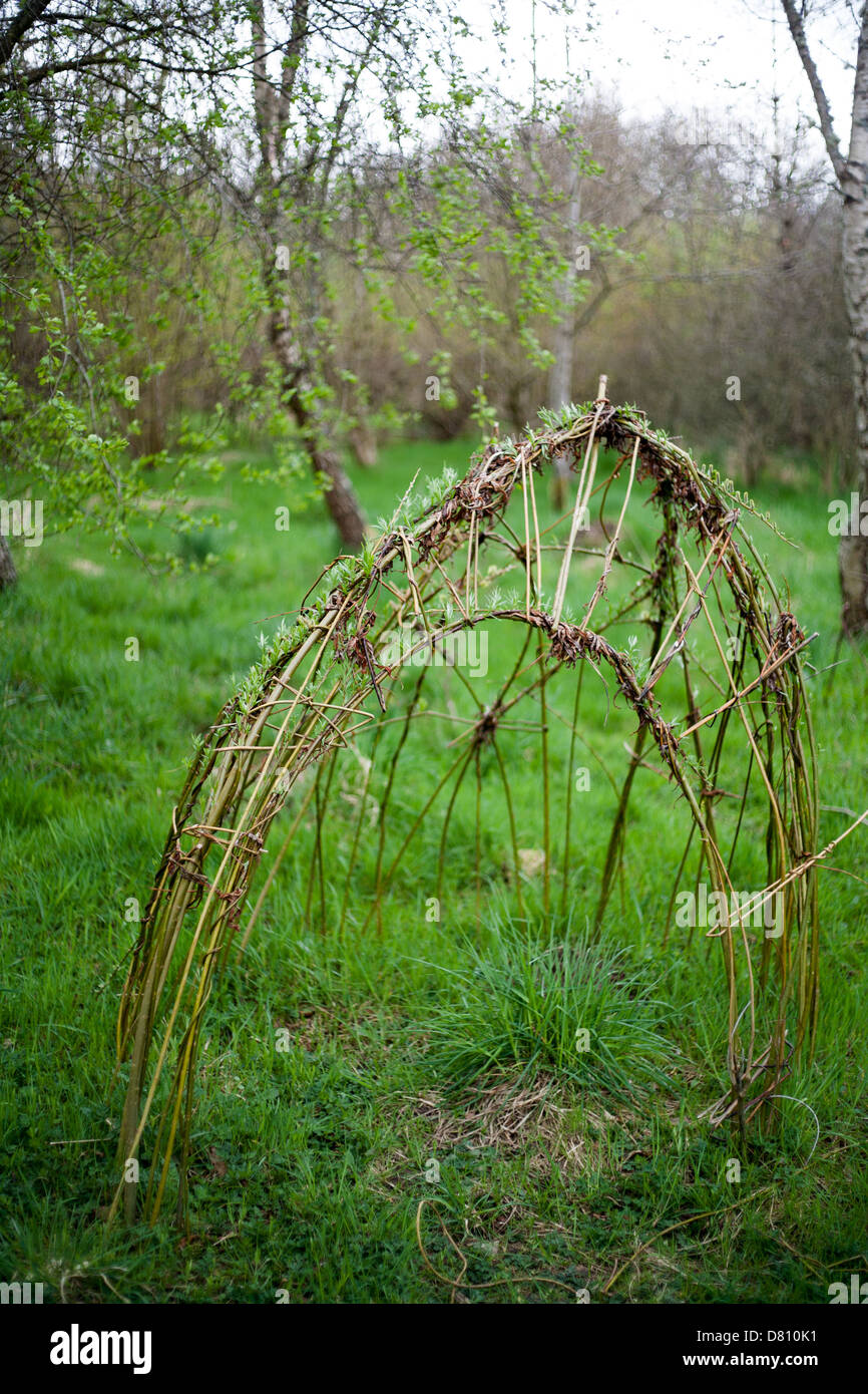 Outdoor dome structure in woodland Stock Photo - Alamy