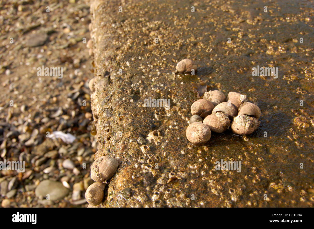 Rhu point beach hi-res stock photography and images - Alamy