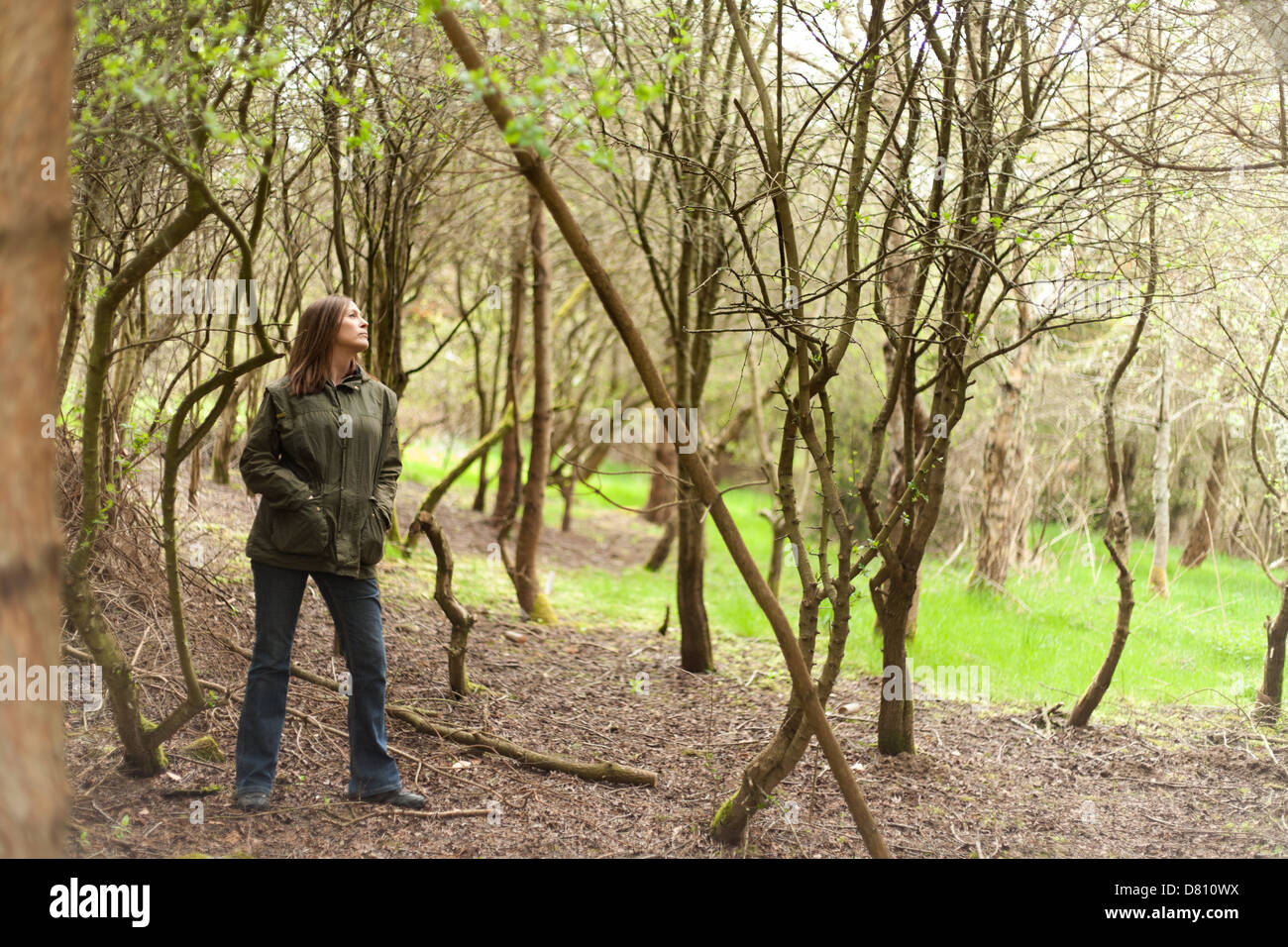 Daydreams hi-res stock photography and images - Alamy