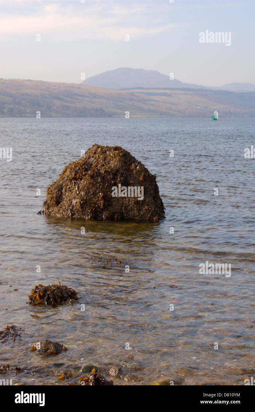 Rock at Rhu Point on the Gareloch, Scotland Stock Photo - Alamy