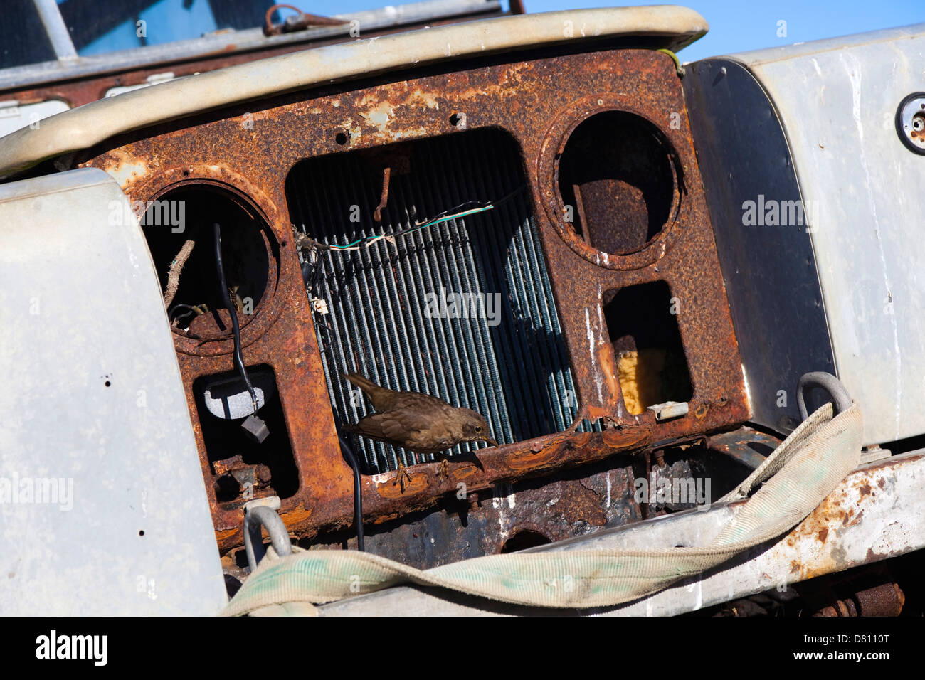 Rusty british cars hi-res stock photography and images - Alamy