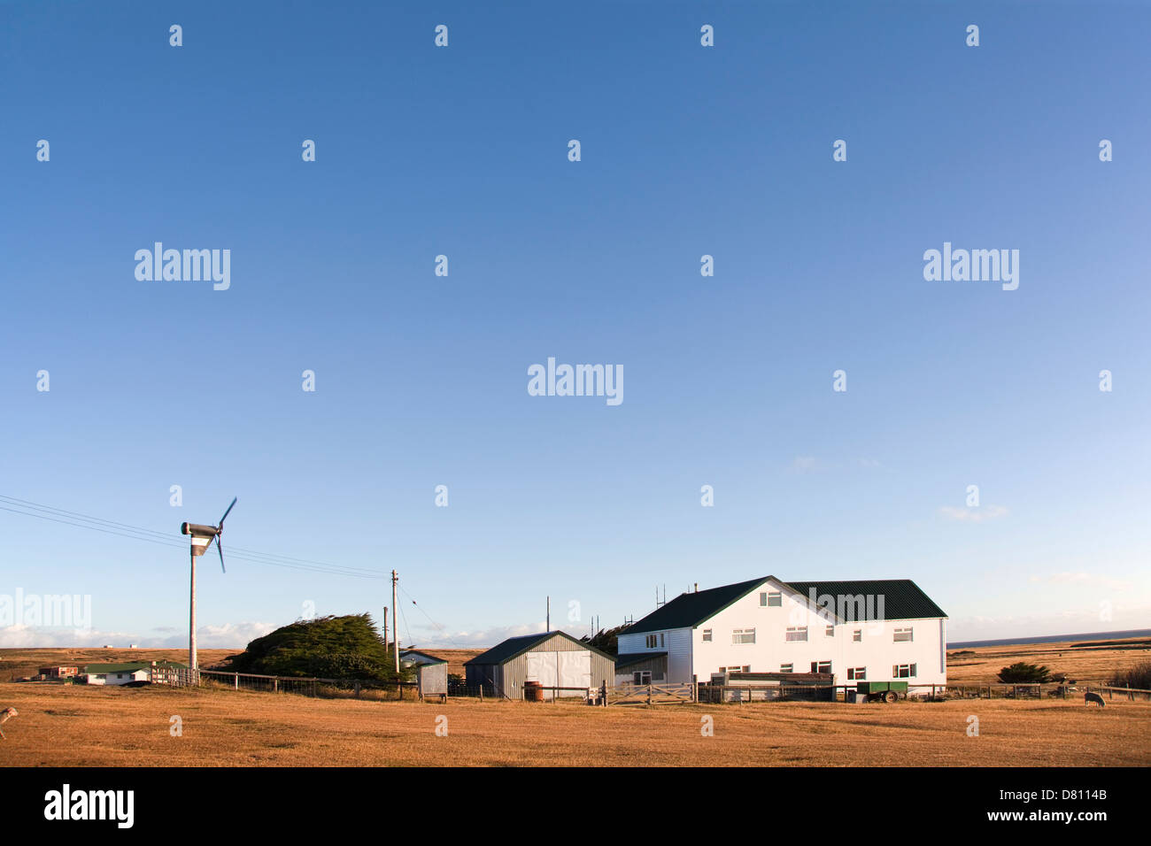 Pebble island falklands hi-res stock photography and images - Alamy