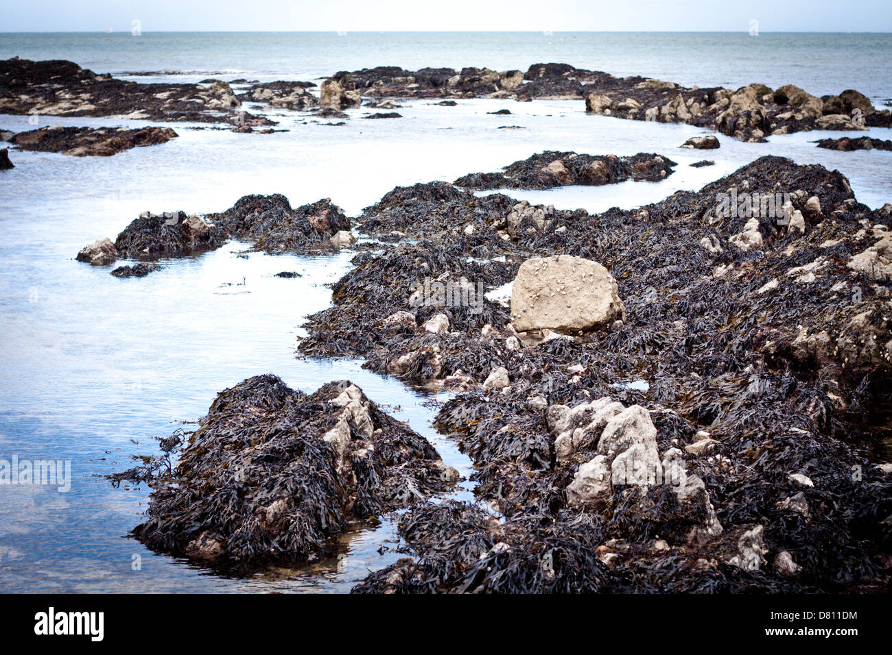 Irish tide hi-res stock photography and images - Alamy