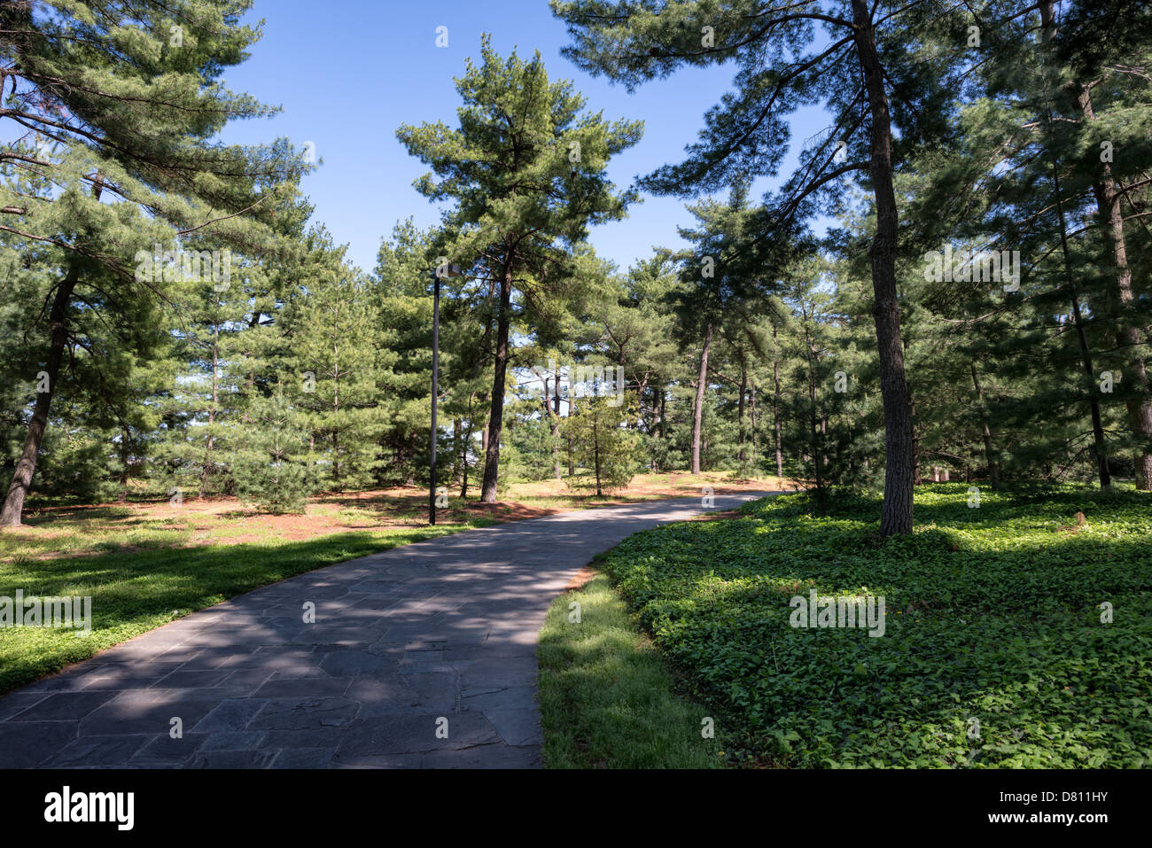 Lyndon Baines Johnson Memorial Grove Pathway Washington DC ...