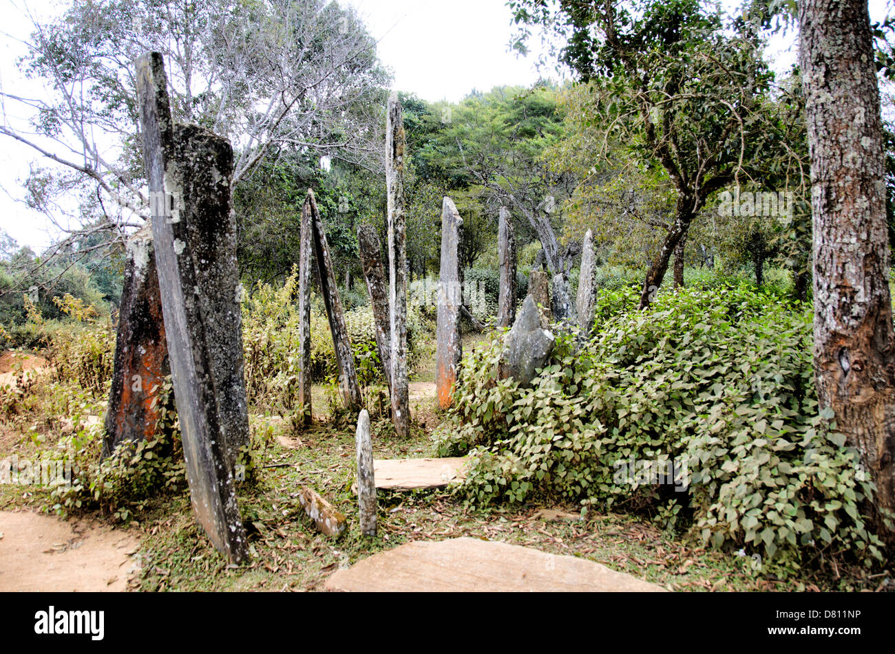 SAM NEUA, Laos - The menhirs (standing stones) or Hintang, near Sam ...