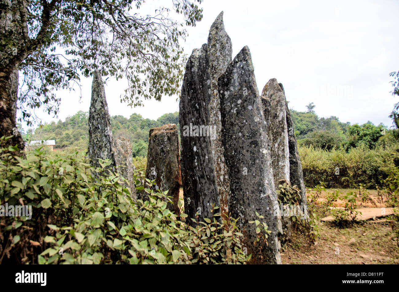 SAM NEUA, Laos - The menhirs (standing stones) or Hintang, near Sam ...