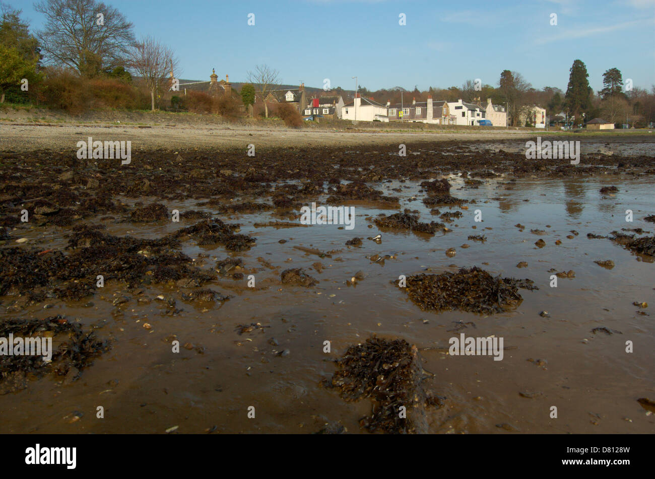 Beach at Rhu on the Gareloch, Scotland Stock Photo - Alamy