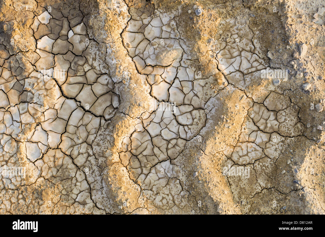 Texture of dried mud dried field hi-res stock photography and images ...