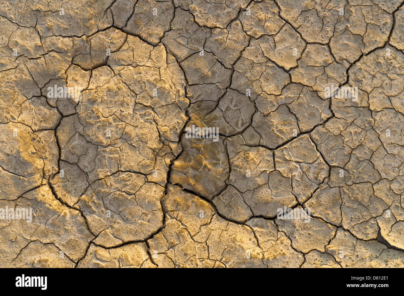 Relief and depression in a dried cracked ground Stock Photo - Alamy