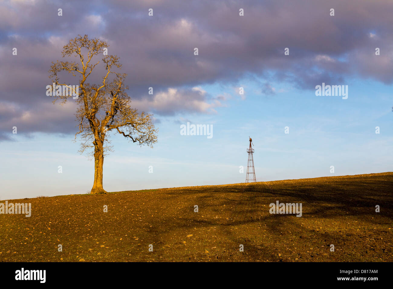 Empty crop field hi-res stock photography and images - Alamy