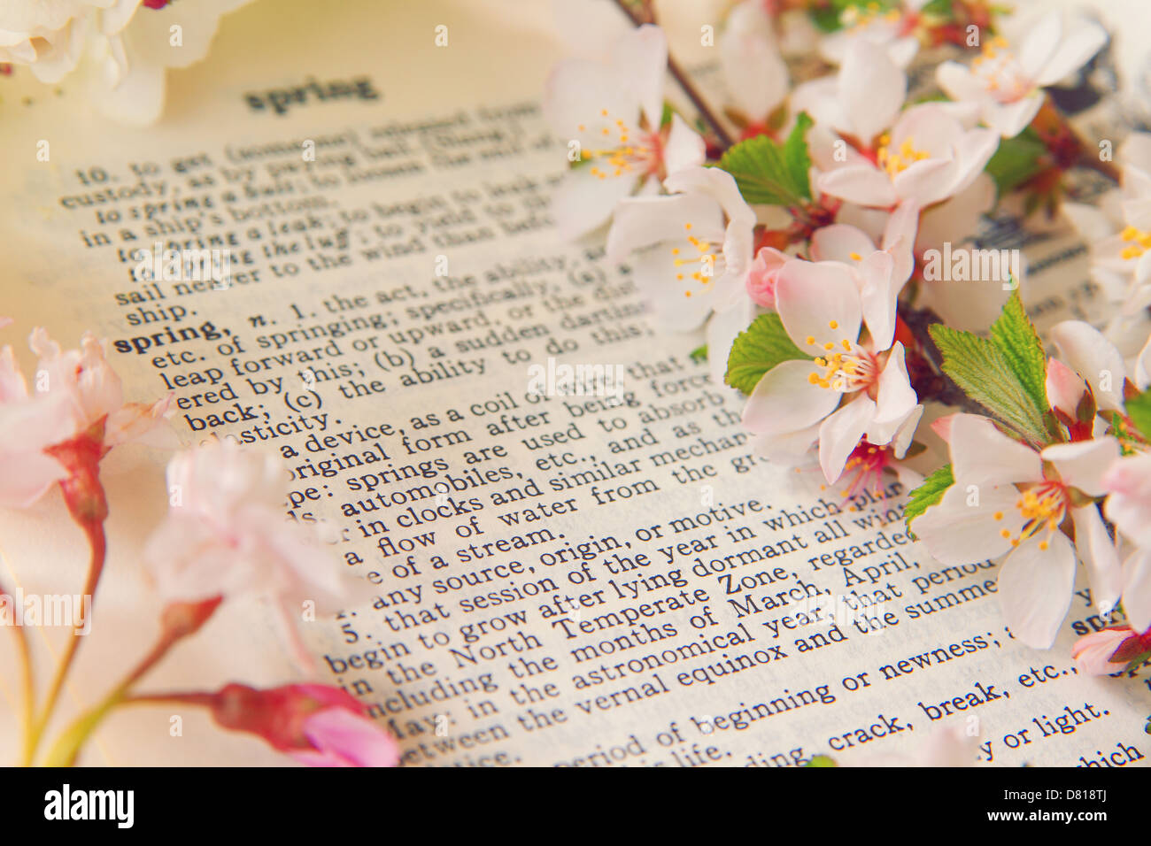 Spring blossoms surrounding dictionary page defining the word "spring ...