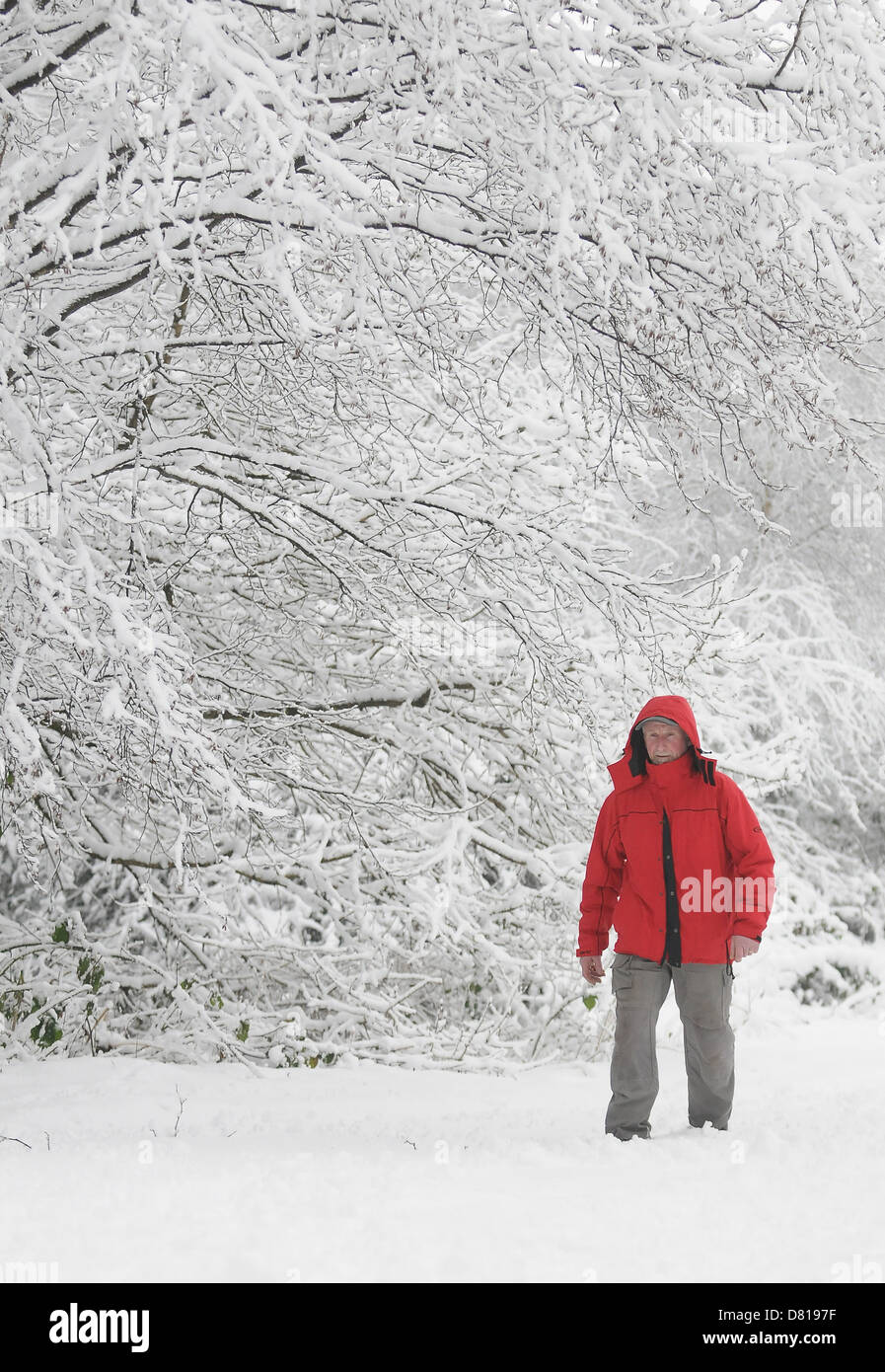 A man wearing a red coat walks through snow in Pontypridd Stock Photo ...