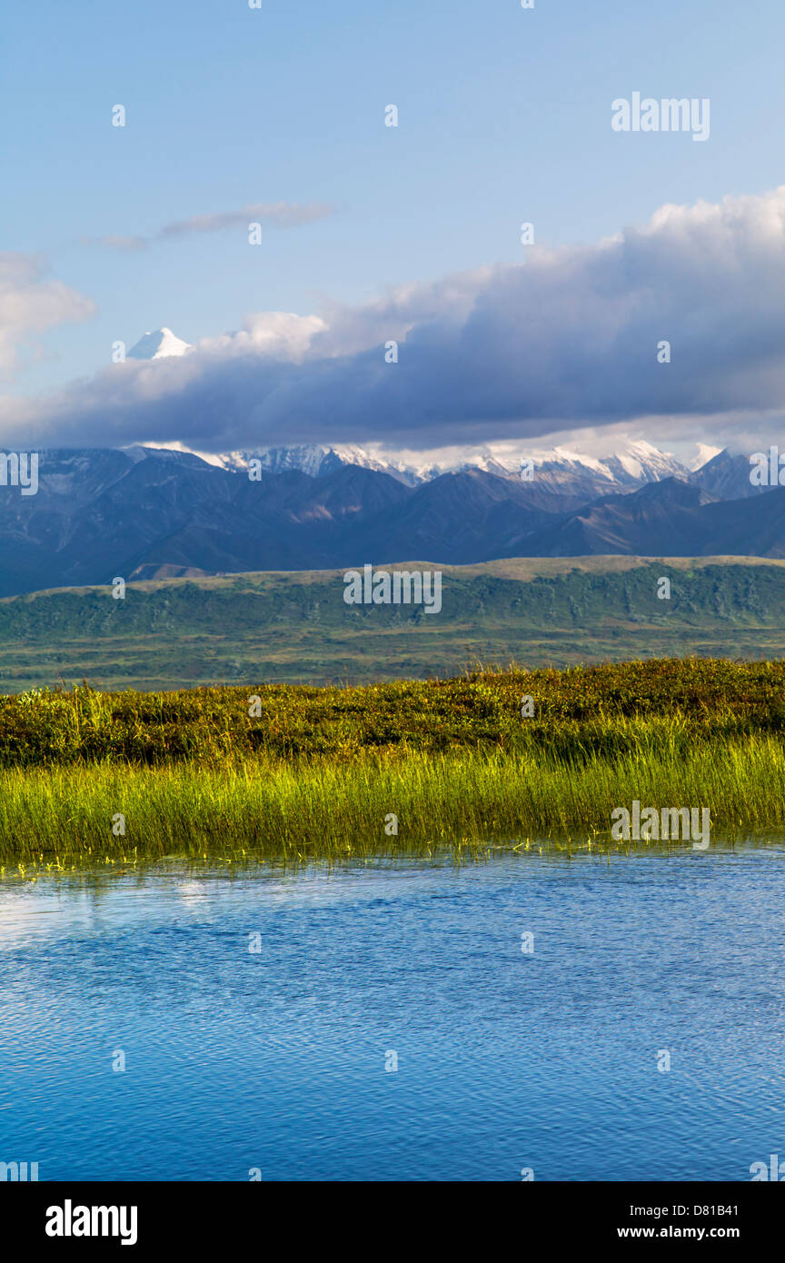 Panorama view of Alaska Range including Mt. McKinley (Denali Mountain ...
