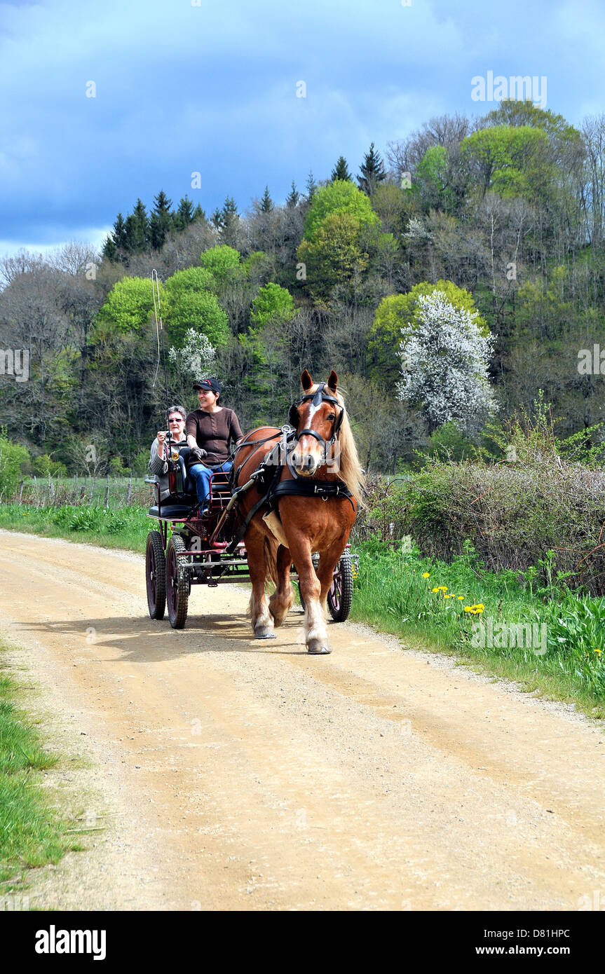 Caleche hi-res stock photography and images - Alamy