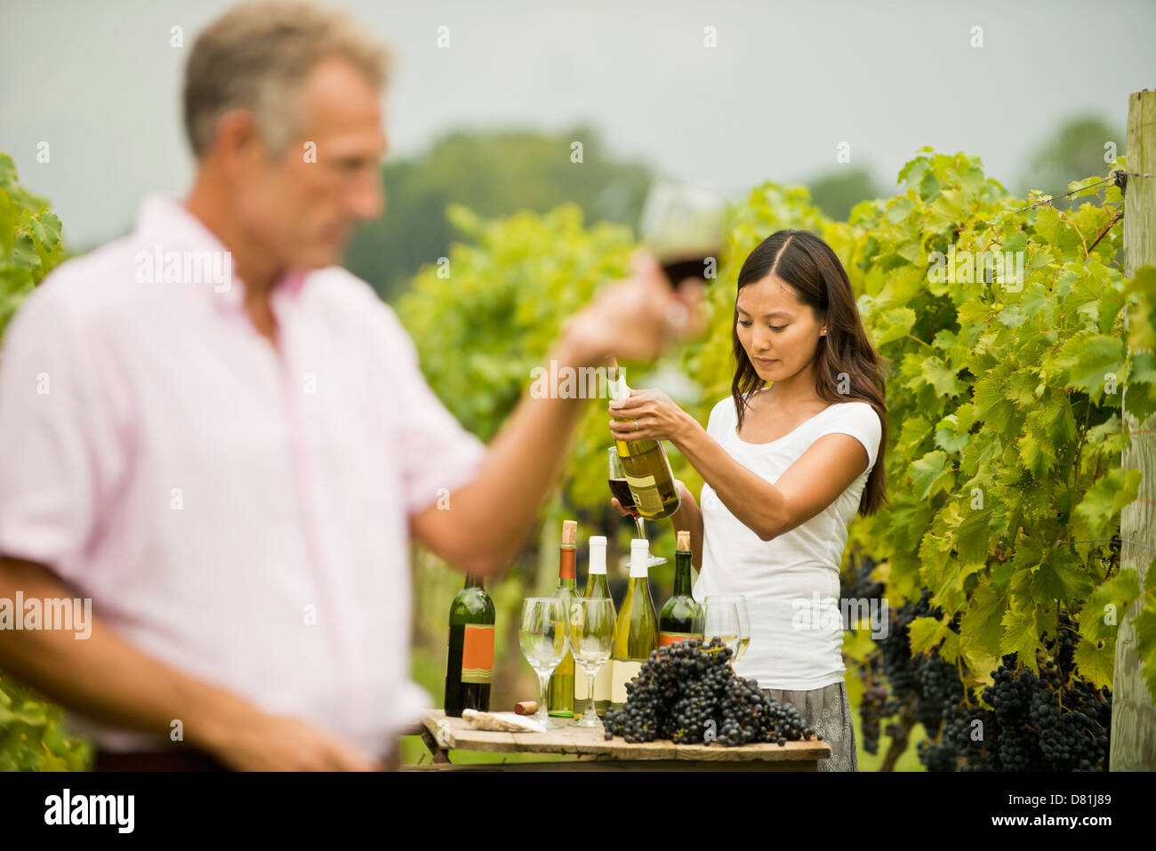 People tasting wine in vineyard Stock Photo - Alamy