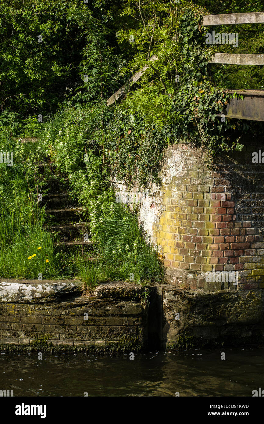 Steps to Edge of Chelmer and Blackwater Navigation Stock Photo - Alamy