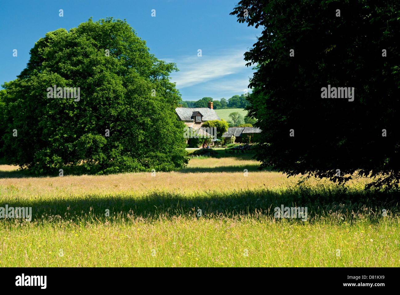 Country Cottage and fields, Llanellen near Abergavenny, Monmouthshire ...
